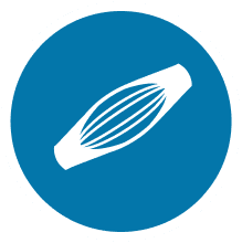 EDV perro mini adult | Advance Affinity