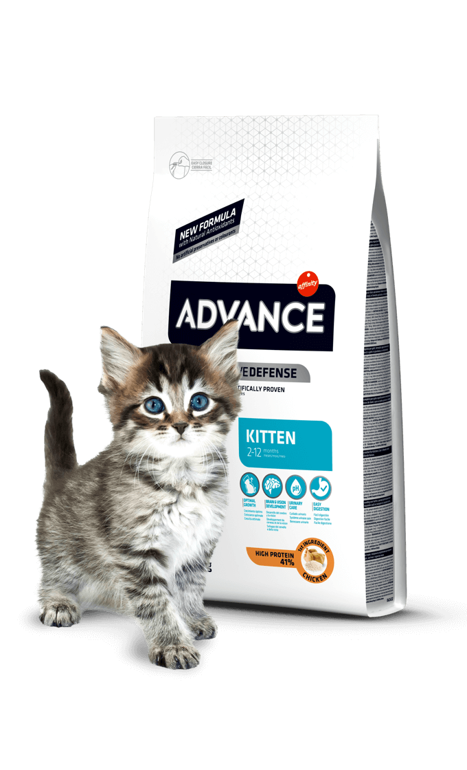 EDV gato no esterilizado gatito | Advance Affinity